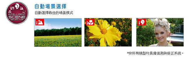 Panasonic FX65數位相機(粉) DMC-FX65-P(粉) | 燦坤線上購物~燦坤實體守護