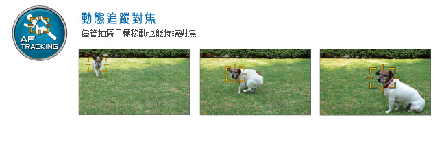 Panasonic FX65數位相機(粉) DMC-FX65-P(粉) | 燦坤線上購物~燦坤實體守護